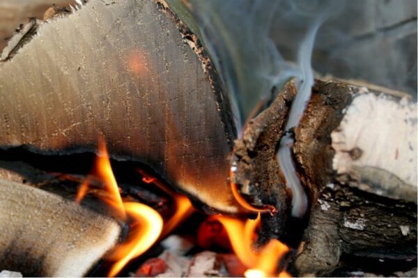 Smoke from the oven: everything you need to know | Alfa Forni Professional